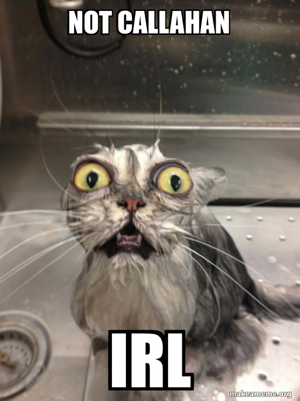 Not Callahan IRL - Cat bath Meme Generator