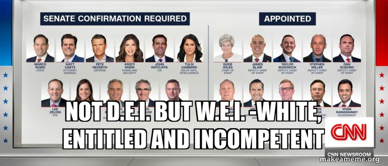 not D.E.I. but W.E.I. -white, entitled and incompetent Meme Generator