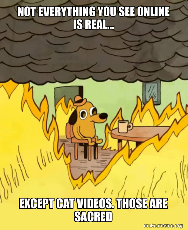 Not everything you see online is real... except cat videos. Those are ...