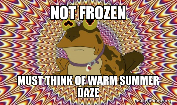 Not Frozen Must think of warm summer Daze - Hypnotoad Meme Generator
