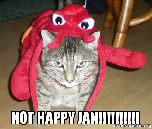 Not happy jan!!!!!!!!!! Meme Generator
