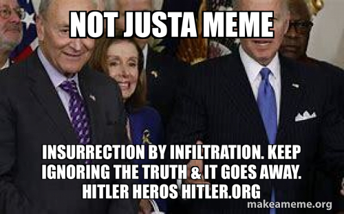not justa meme insurrection by infiltration. keep ignoring the truth ...