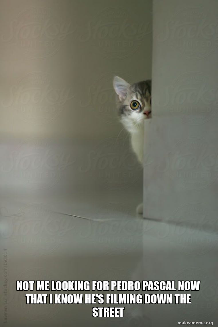 not me looking for pedro pascal now that i know he's filming down the ...