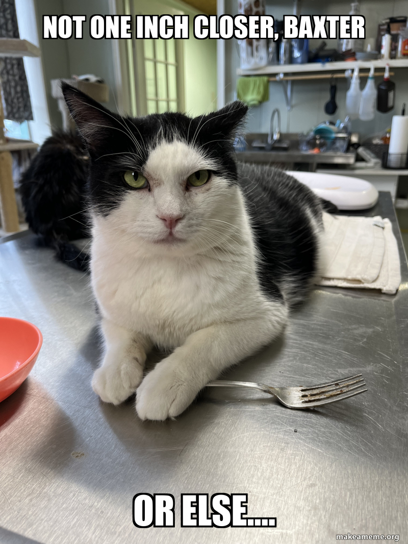 Not one inch closer, Baxter Or else…. Meme Generator