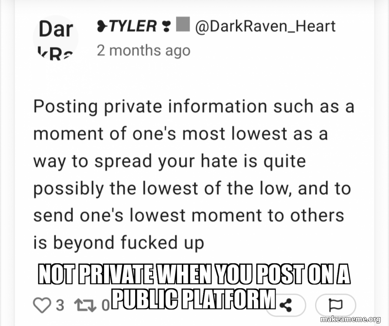 Not private when you post on a public platform - Public does not equal ...