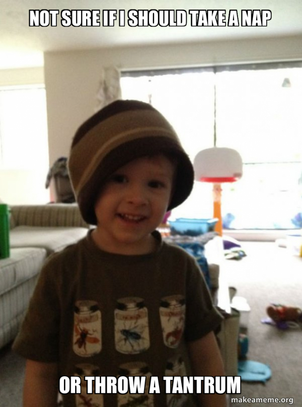 not sure if I should take a nap or throw a tantrum - Scumbag Toddler ...