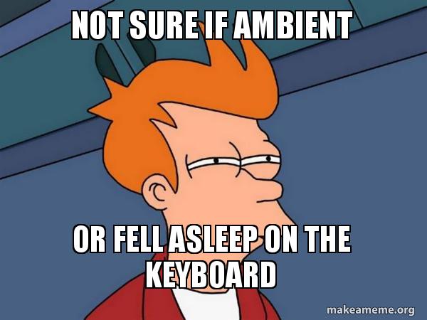 Not sure if ambient or fell asleep on the keyboard - Futurama Fry Meme Generator