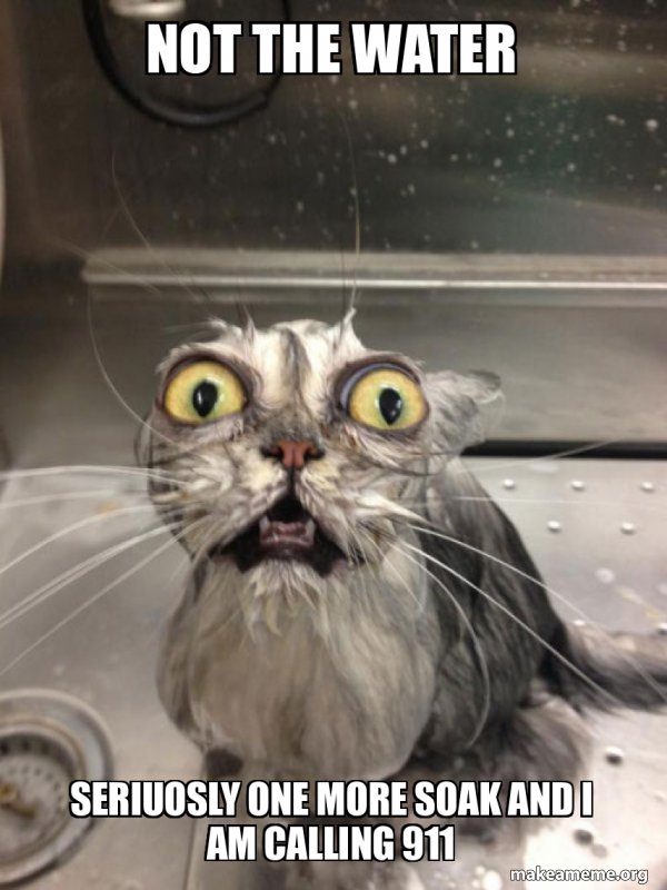 not the WATER seriuosly one more soak and I am calling 911 - Cat bath ...