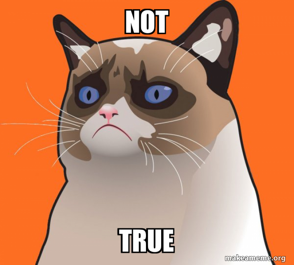 NOT TRUE - Cartoon Grumpy Cat Meme Generator