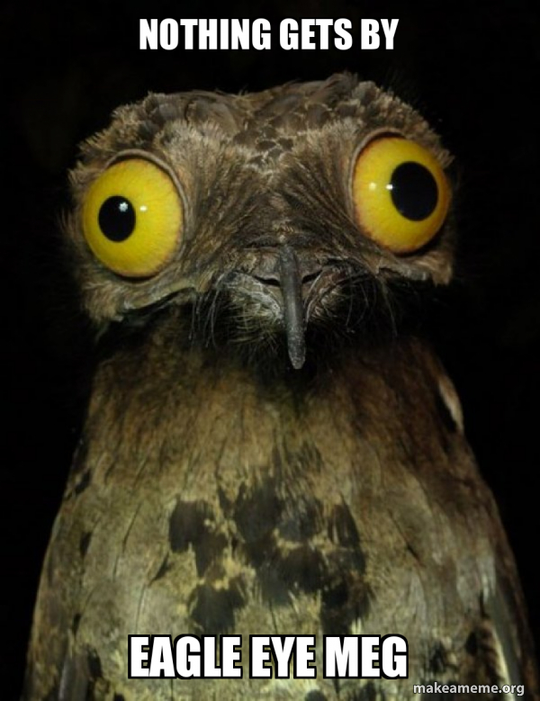 Nothing gets by eagle eye meg - Weird Stuff I do Potoo Meme Generator