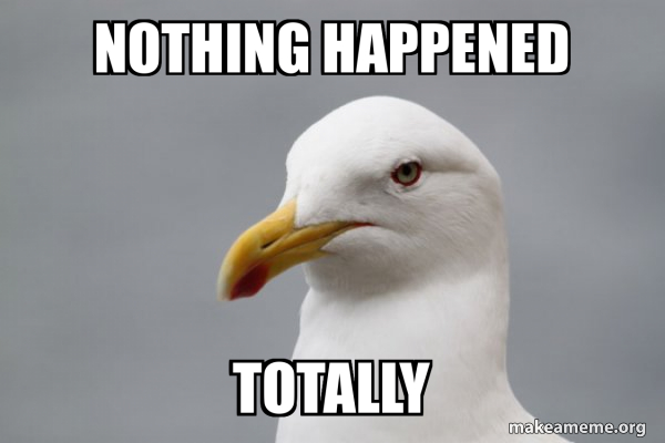 NOTHING HAPPENED TOTALLY - Stuff That Didn't Happen Seagull Meme Generator
