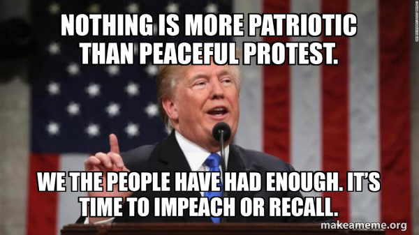 Nothing is more patriotic than peaceful protest. We the people have had ...