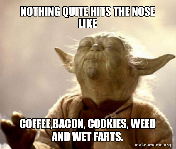 Nothing quite hits the nose like Coffee,Bacon, Cookies, Weed and Wet ...