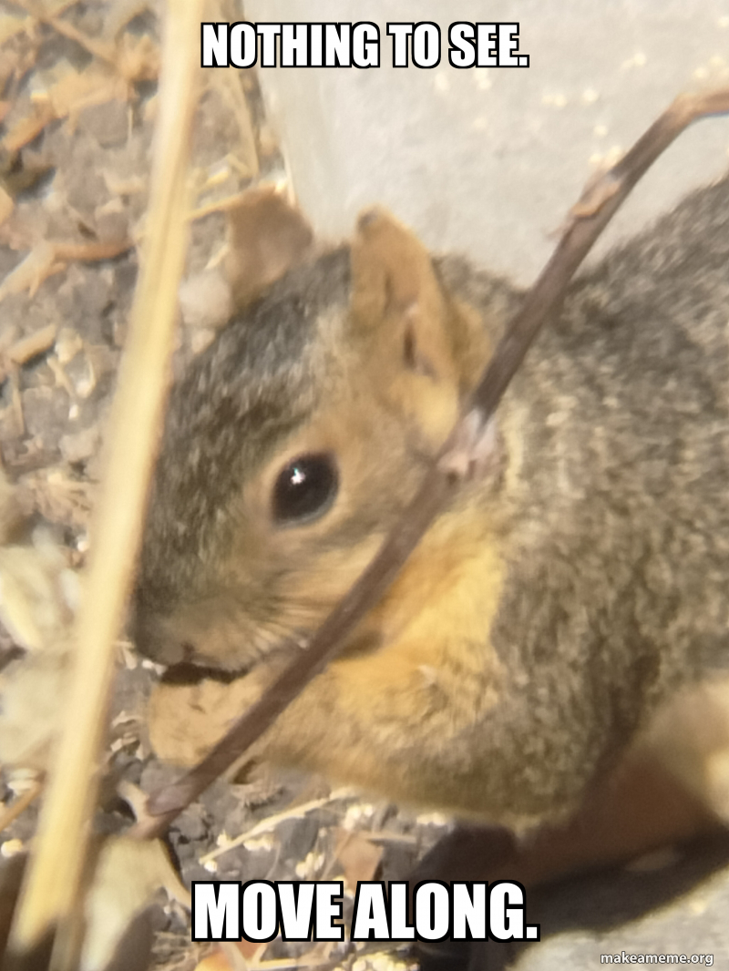 Nothing to see. Move along. Meme Generator