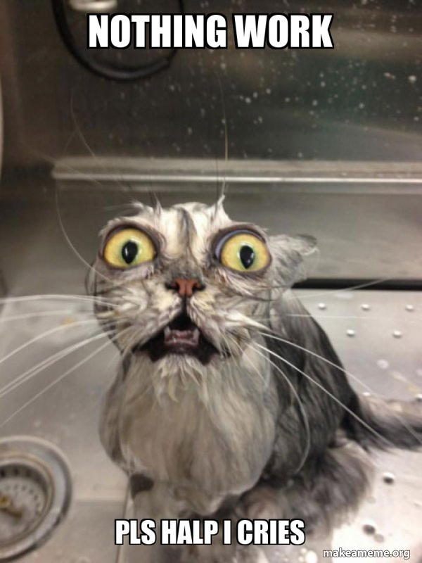 NOthing work PLS HALP I cries - Cat bath Meme Generator