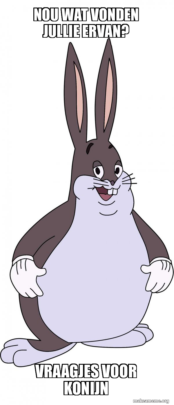 nou wat vonden jullie ervan? vraagjes voor konijn - Chungus Meme Generator