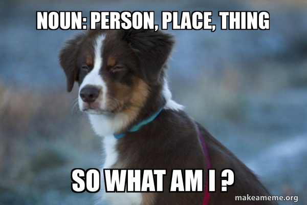 noun: Person, Place, Thing So what am I ? - Unsure Dog Meme Generator