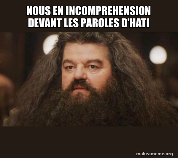 nous en incomprehension devant les paroles d'hati - Hagrid - I should ...