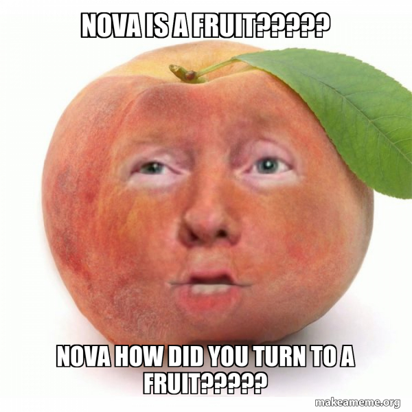 Nova is a fruit????? Nova how did you turn to a fruit????? - Impeached ...