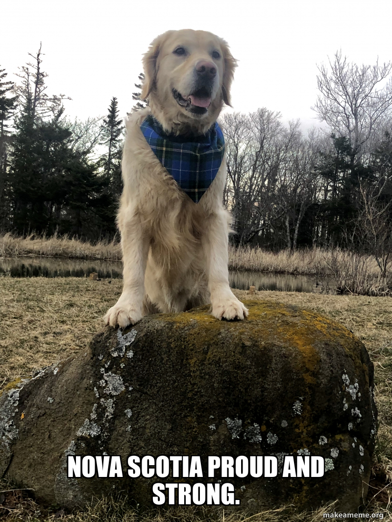 Nova scotia proud and strong. Meme Generator