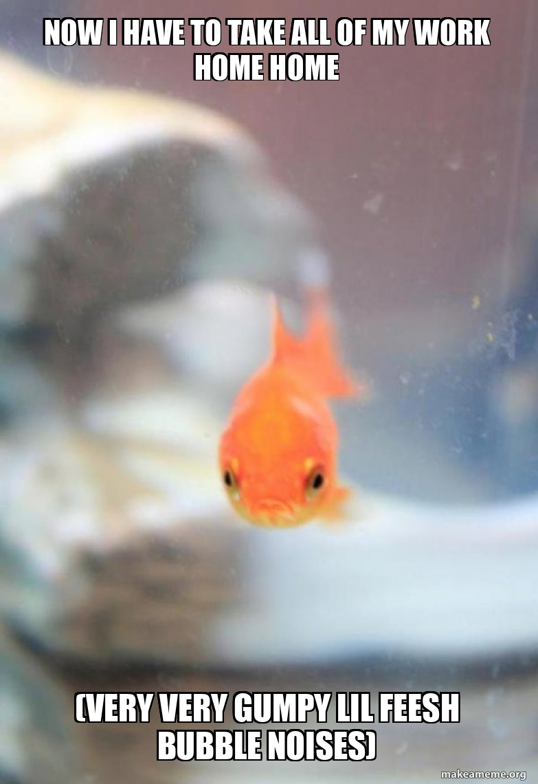 now i have to take all of my work home home (very very gumpy lil feesh ...