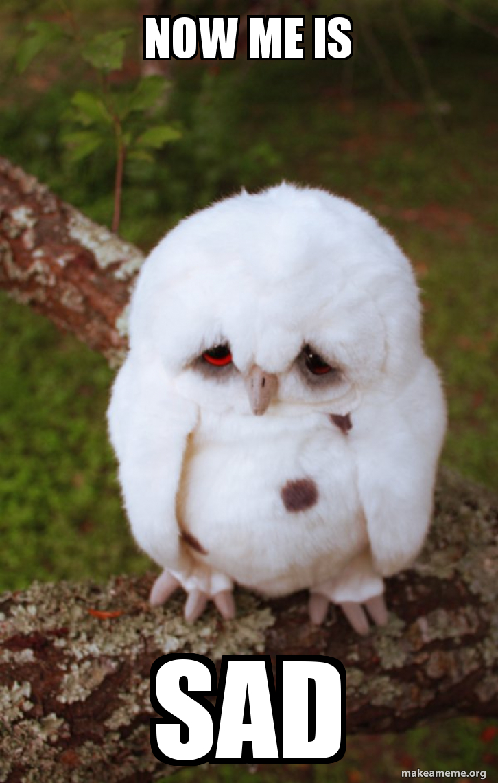 Now me is sad - Sad Owl Meme Generator