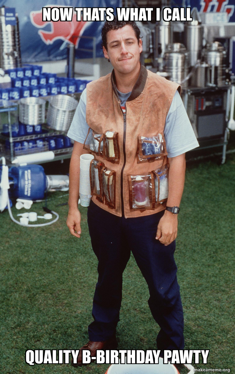 Now thats what i call Quality b-birthday pawty Meme Generator