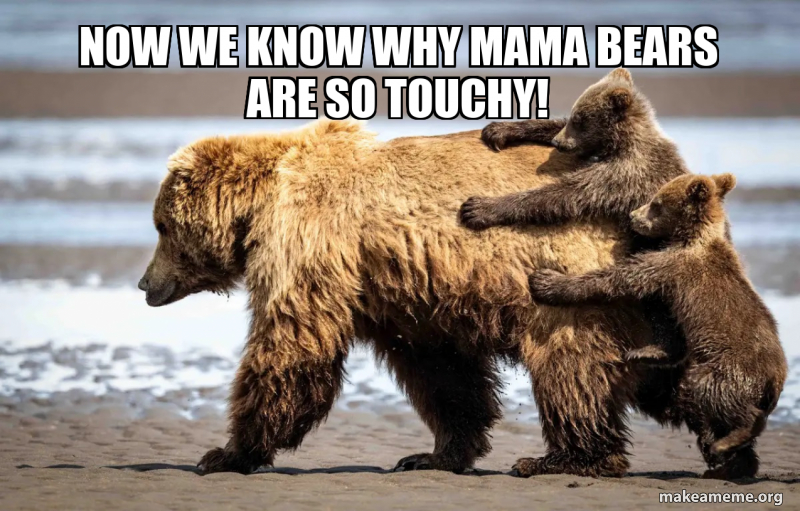 now we know why mama bears are so touchy! Meme Generator