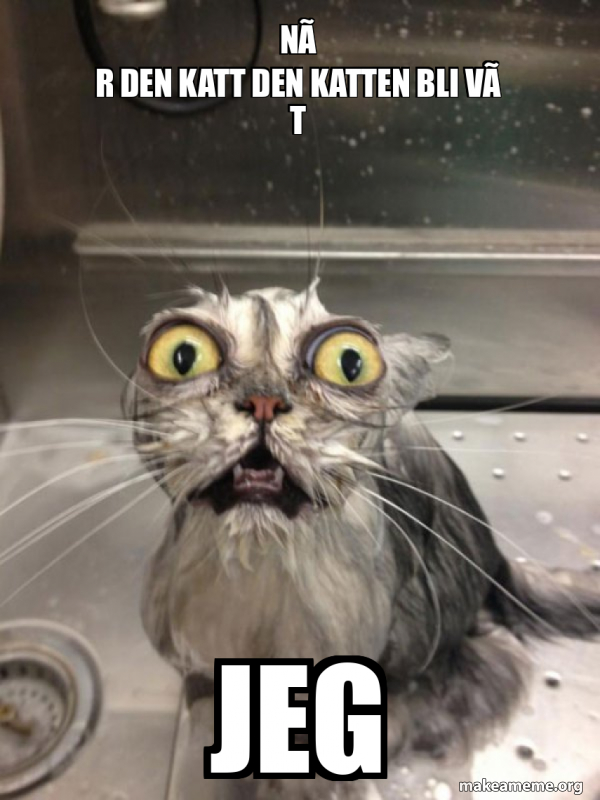 Når den katt den katten bli våt Jeg - Cat bath Meme Generator