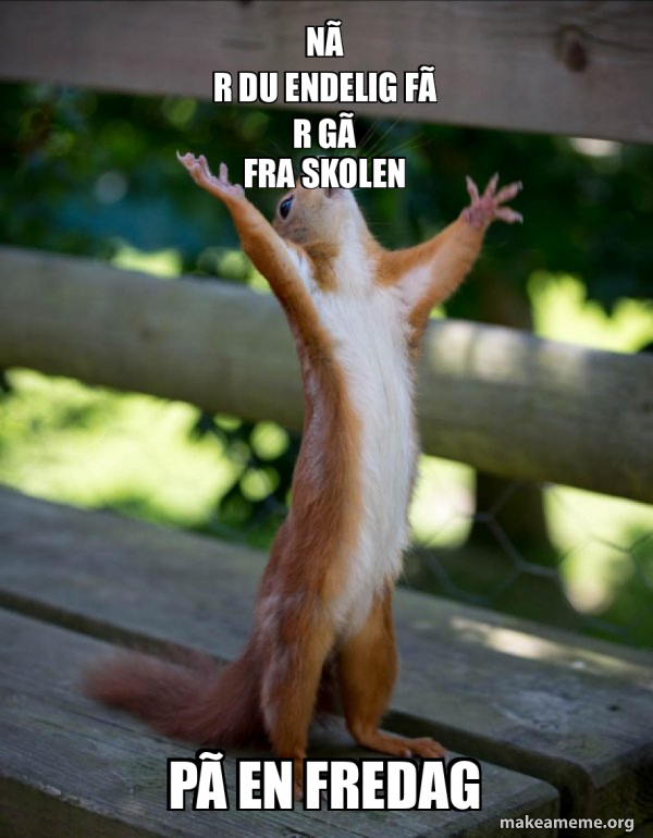 Når du endelig får gå fra skolen på en fredag - Happy Squirrel Meme ...