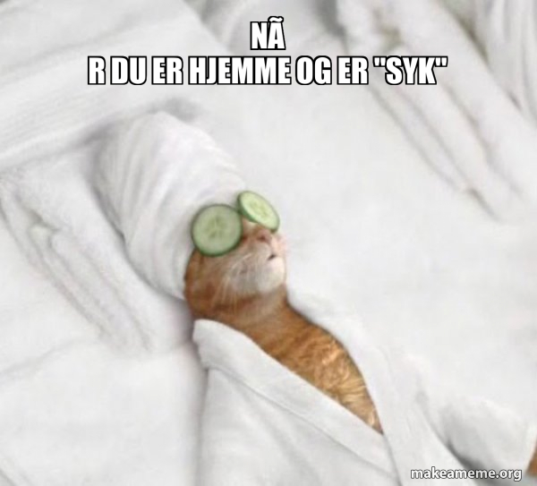 Når du er hjemme og er "syk" - Pampered Cat Meme Meme Generator