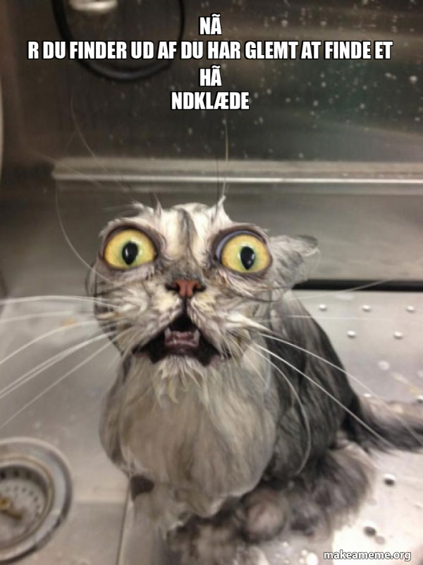 Når du finder ud af du har glemt at finde et håndklæde - Cat bath Meme ...