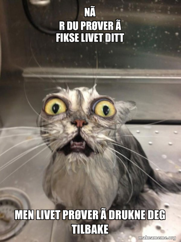 Når du prøver å fikse livet ditt men livet prøver å drukne deg tilbake ...