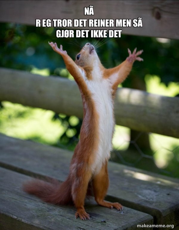 Når eg tror det reiner men så gjør det ikke det - Happy Squirrel Meme ...