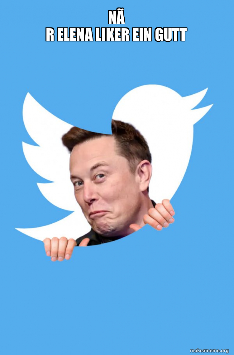 Når elena liker ein gutt - Elon Musk Twitter Meme Generator