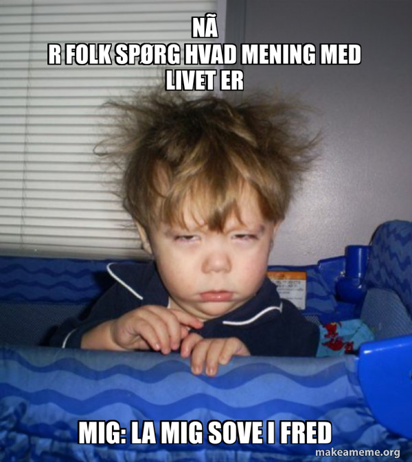 når folk spørg hvad mening med livet er mig: la mig sove i fred ...
