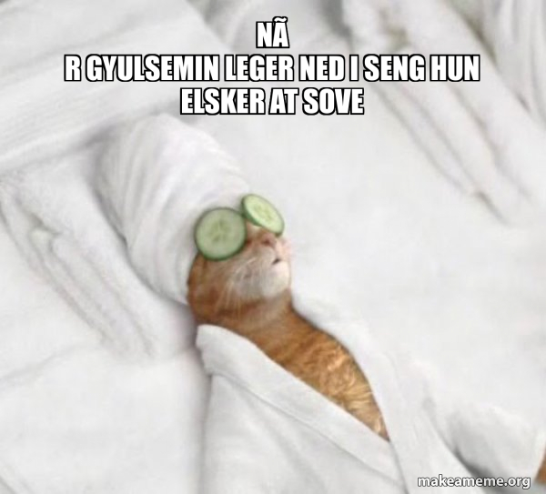 Når Gyulsemin leger ned i seng hun elsker at sove - Pampered Cat Meme ...