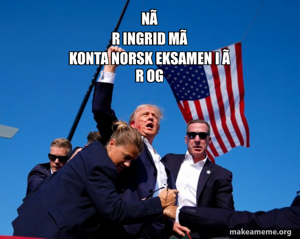 Når Ingrid må konta norsk eksamen i år og - Trump Fist Meme Generator