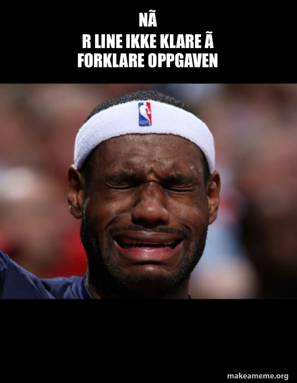 når line ikke klare å forklare oppgaven - Lebron Crying Meme Generator