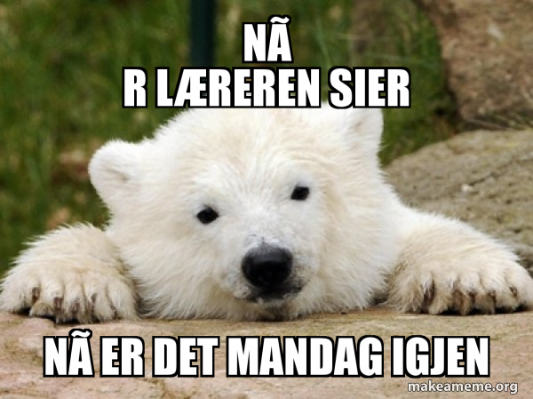 NÃ¥r lÃ¦reren sier NÃ¥ er det mandag igjen - Popular Opinion Bear Meme ...