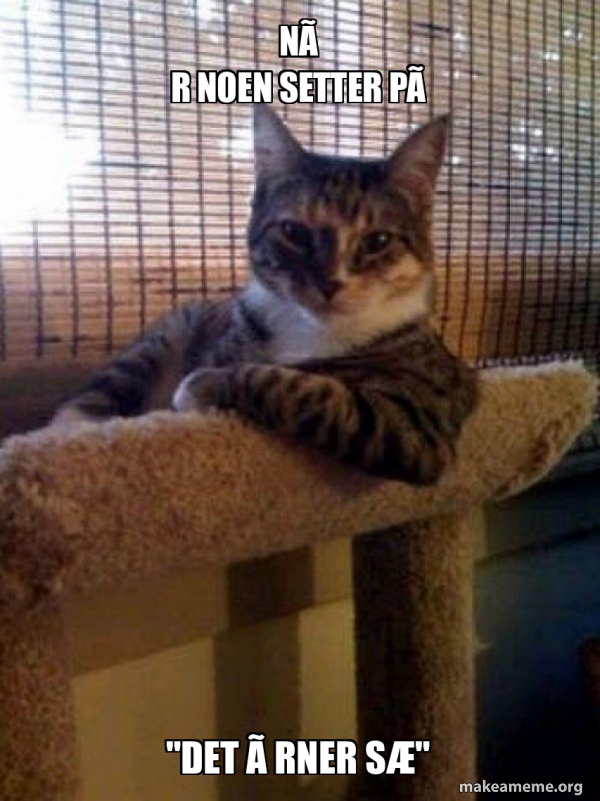 når noen setter på "det årner sæ" - The Most Interesting Cat in the ...