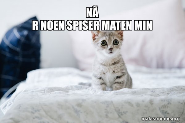 Når noen spiser maten min - Cute Kitten Meme Generator