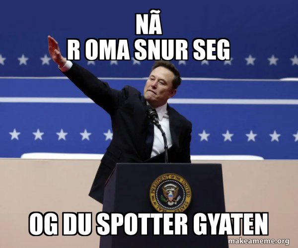 Når Oma snur seg Og du spotter gyaten - Nazi Elon Meme Generator