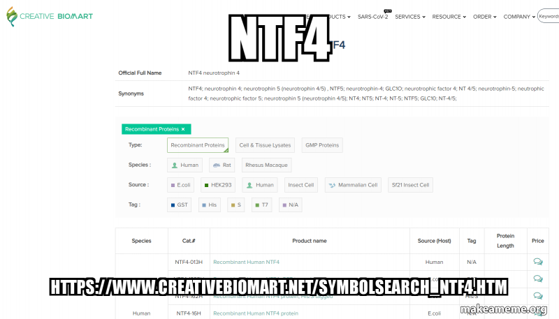NTF4 https://www.creativebiomart.net/symbolsearch_NTF4.htm - NTF4 Meme ...