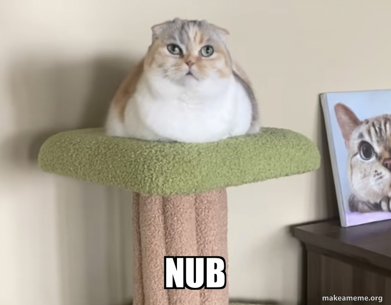 Nub Meme Generator