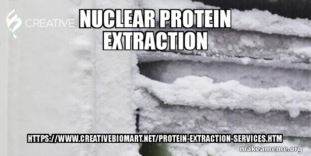 Nuclear protein extraction https://www.creativebiomart.net/Protein ...
