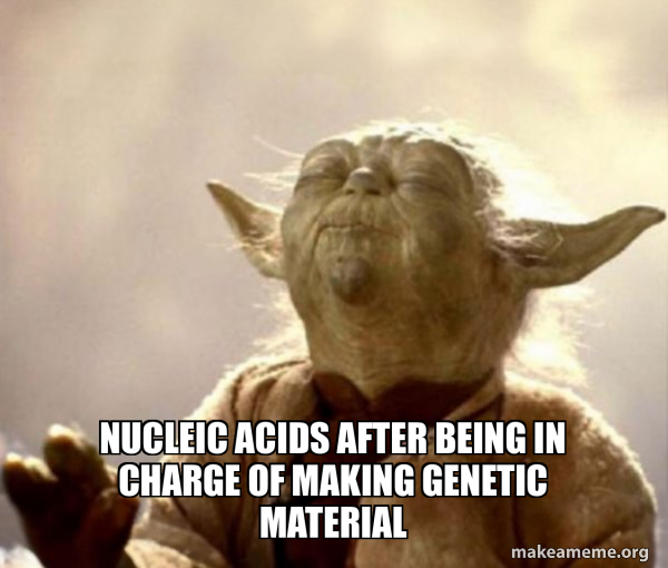 Nucleic acids after being in charge of making genetic material - Yoda ...
