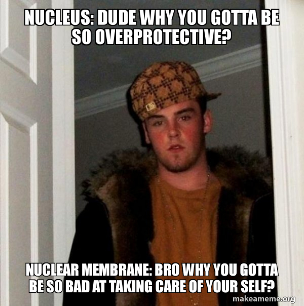 Nucleus: Dude why you gotta be so overprotective? Nuclear Membrane: Bro ...