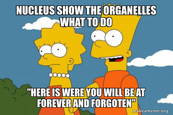 Nucleus show the Organelles what to do "Here is were you will be at ...