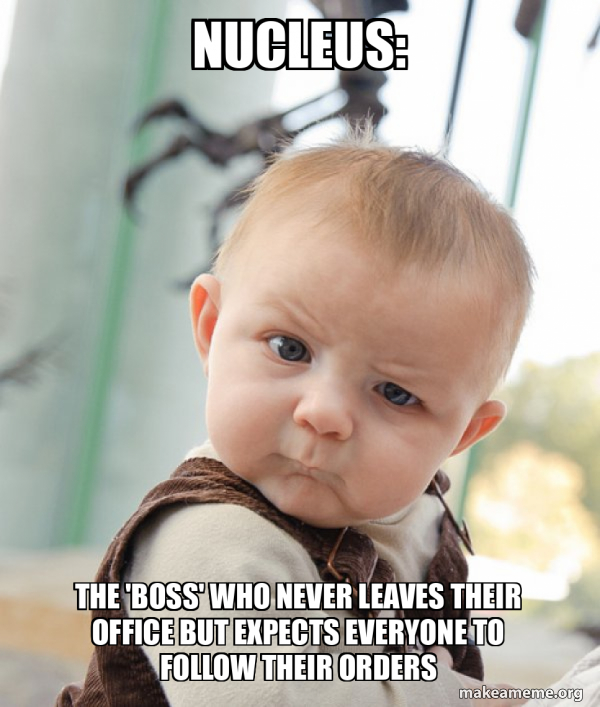 Nucleus: The 'boss' who never leaves their office but expects everyone ...